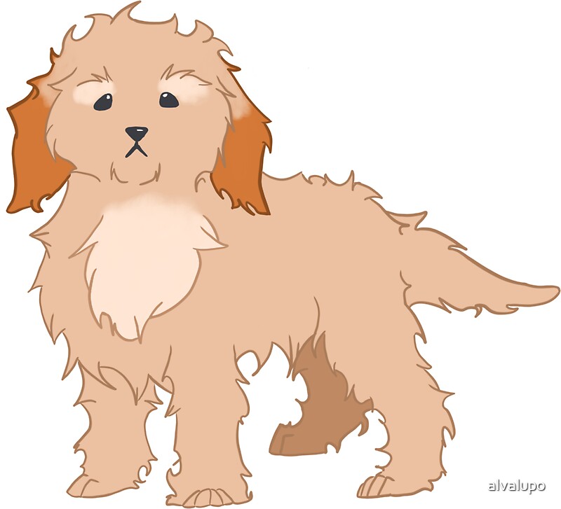 Cockapoo: Gifts & Merchandise | Redbubble