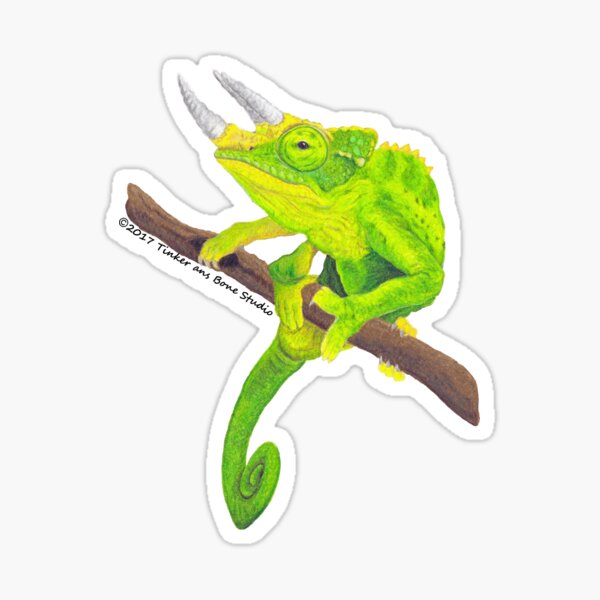 Chameleon Stickers | Redbubble