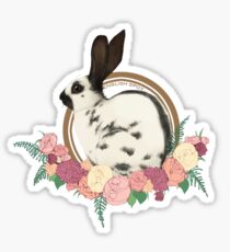 English Spot Rabbit: Gifts & Merchandise | Redbubble