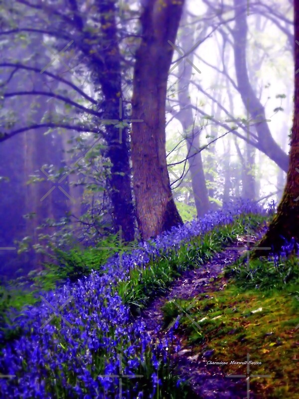"Bluebells in the Forest Rain" by Charmiene Maxwell-Batten | Redbubble