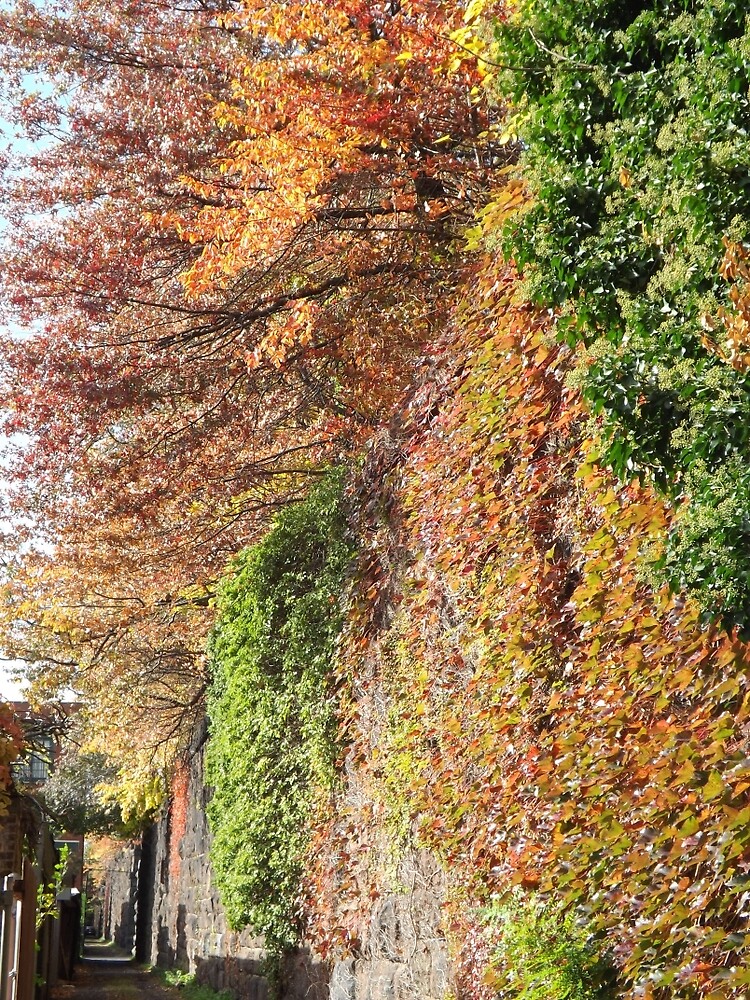 "Sixth Street Embankment, Autumn Colors, Former Pennsylvania Railroad ...