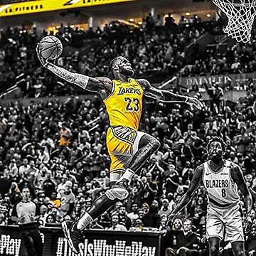 "James Dunk Poster" Poster for Sale by ryanmendozaa | Redbubble