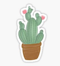 Cactus: Gifts & Merchandise | Redbubble