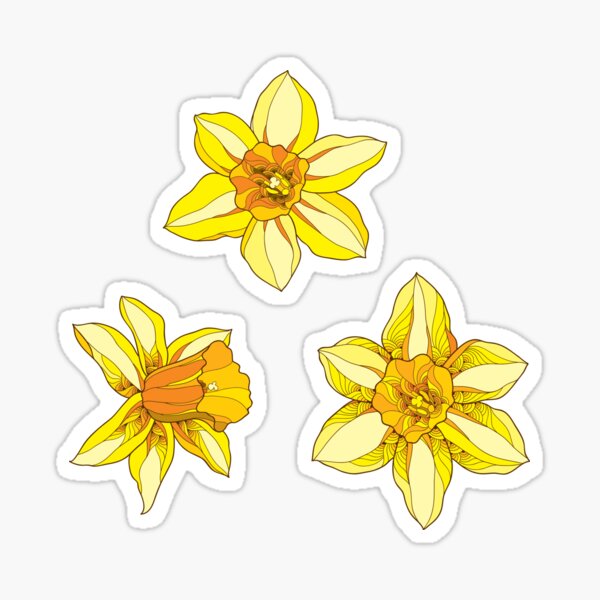 Daffodil Stickers | Redbubble