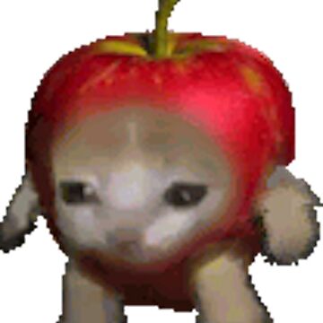 "Cute Kitten in an Apple Meme Applecatrun" Sticker for Sale by 10ecargs ...