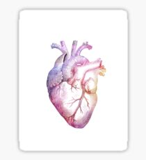 Anatomical Heart: Stickers | Redbubble