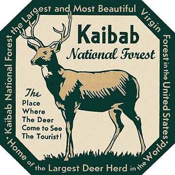 "Kaibab National Forest Arizona Vintage Travel Decal" Sticker for Sale ...