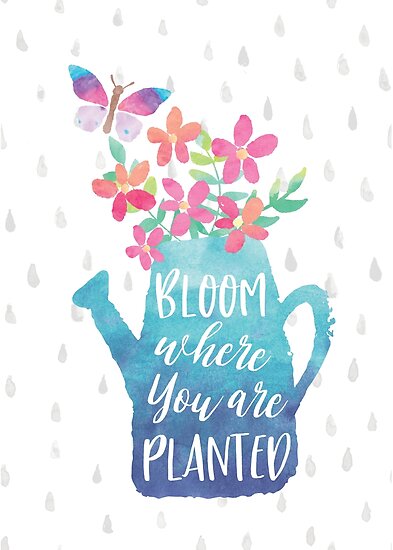 Bloom Where You're Planted: Embrace Growth and Flourish