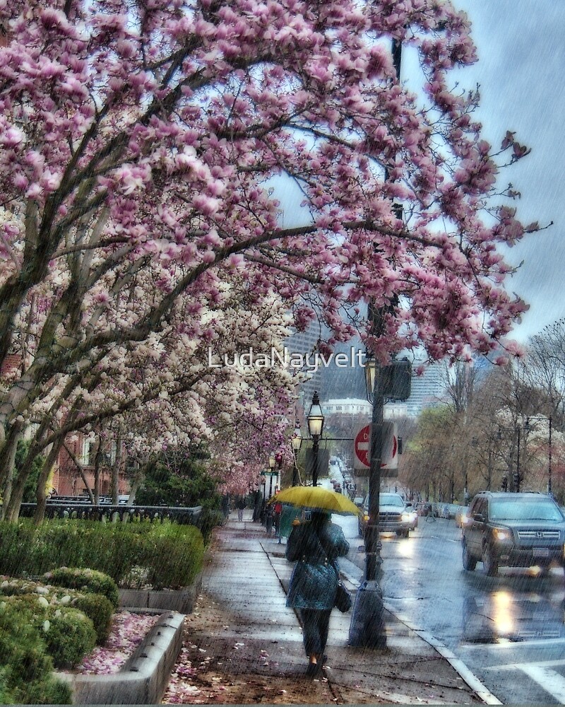"First Spring Rain" by LudaNayvelt | Redbubble