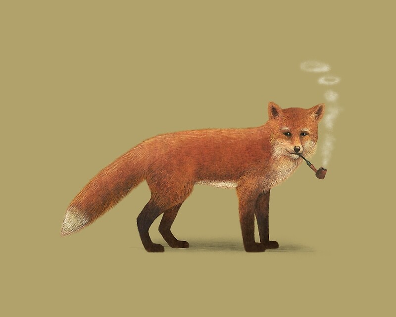 "Crazy Like a Fox" by Terry Fan | Redbubble