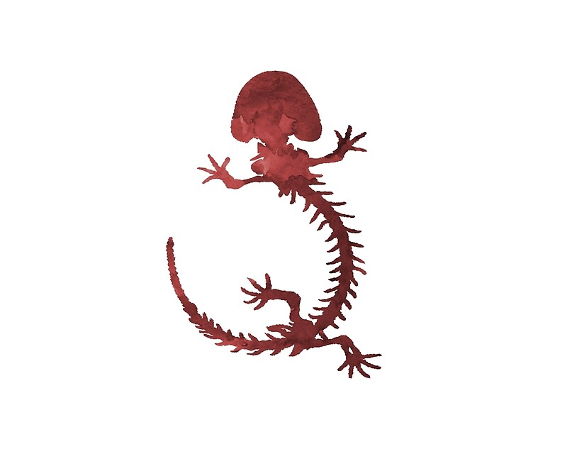 "Hellbender Skeleton" by BittenByErmines | Redbubble