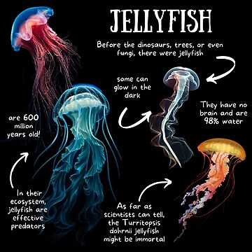 "Jellyfish Fun Facts" Art Board Print for Sale by KyleNesas | Redbubble