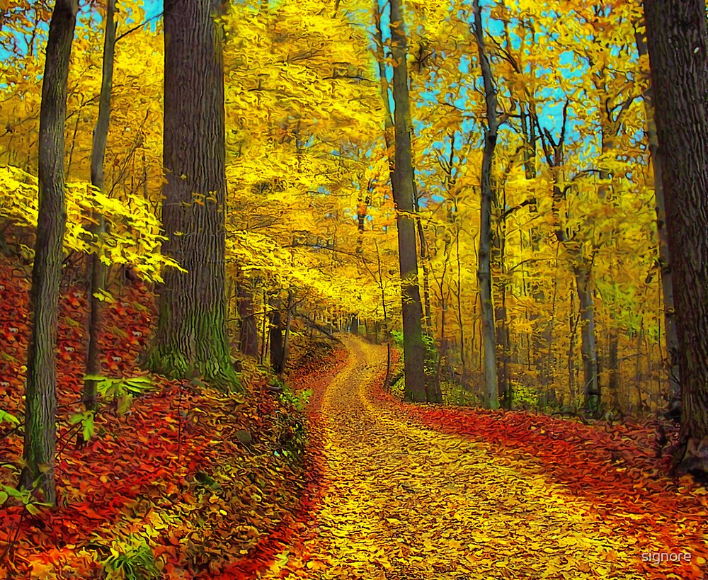 "Seldom used road" by signore | Redbubble