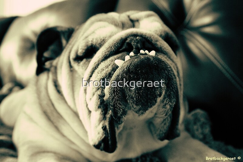 "Bully Teeth" by brotbackgeraet | Redbubble