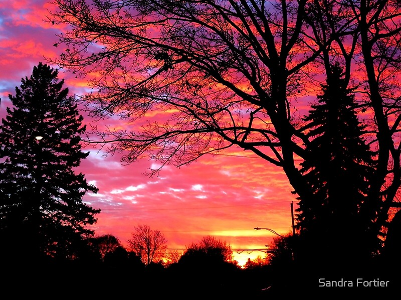 "Etchings at Sunset" by Sandra Fortier | Redbubble