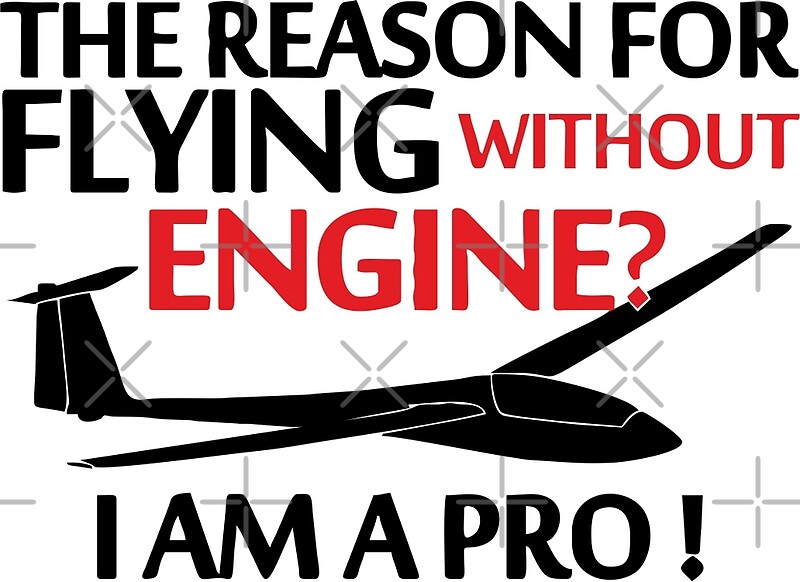 "the reason for flying without engine? I'ma pro!" by Flieschen | Redbubble