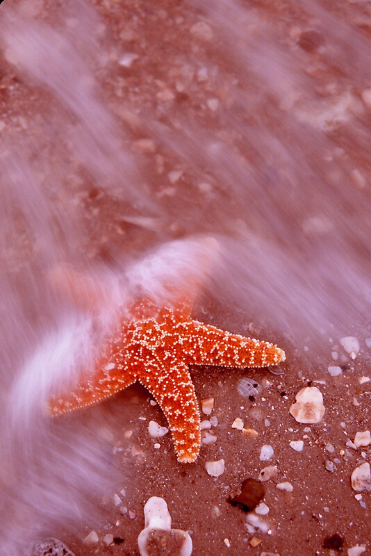 "Washed Away" by seagrl44 | Redbubble