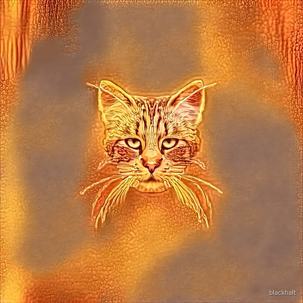 "Golden Cat #Art" by blackhalt | Redbubble