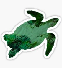 Honu: Stickers | Redbubble