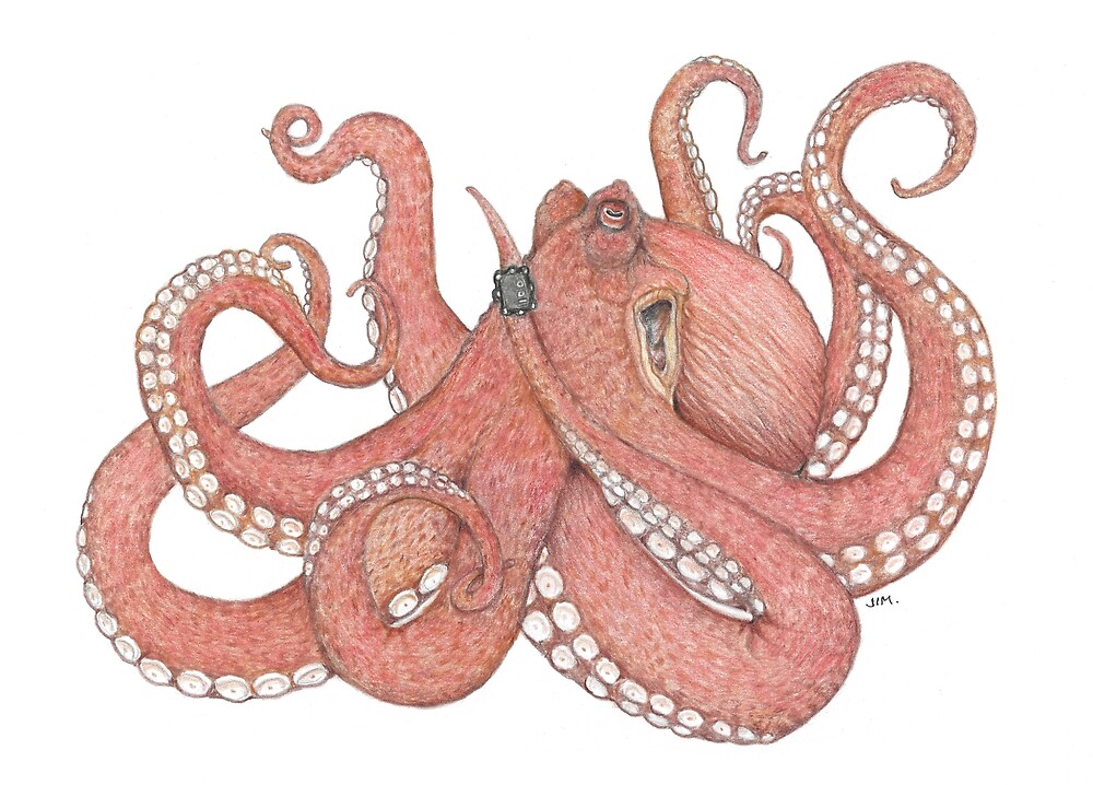 "Octopus Wearing a Dive Computer" by JimsBirds | Redbubble