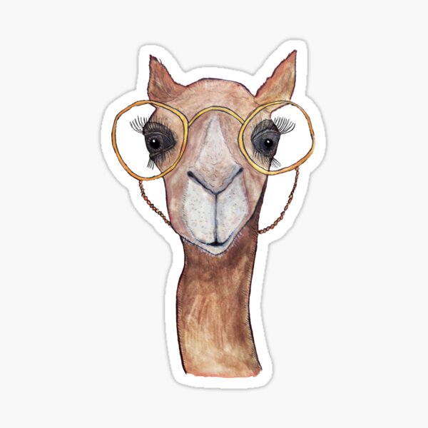 Camel Stickers | Redbubble