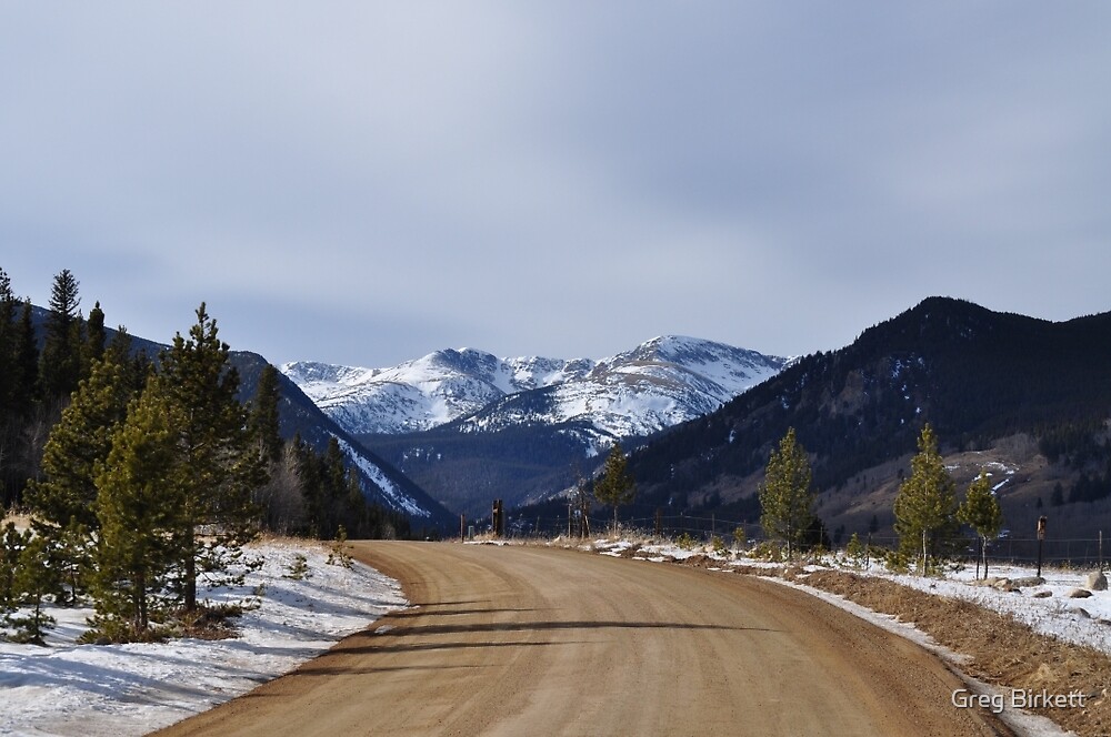 "Colorado Pathway" by Greg Birkett | Redbubble