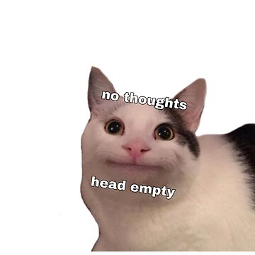 "Cat meme, no thoughts head empty " Art Board Print for Sale by ...