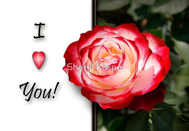 "I Love You Card with Rose" by Sheryl Kasper | Redbubble