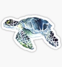 Turtles: Stickers | Redbubble