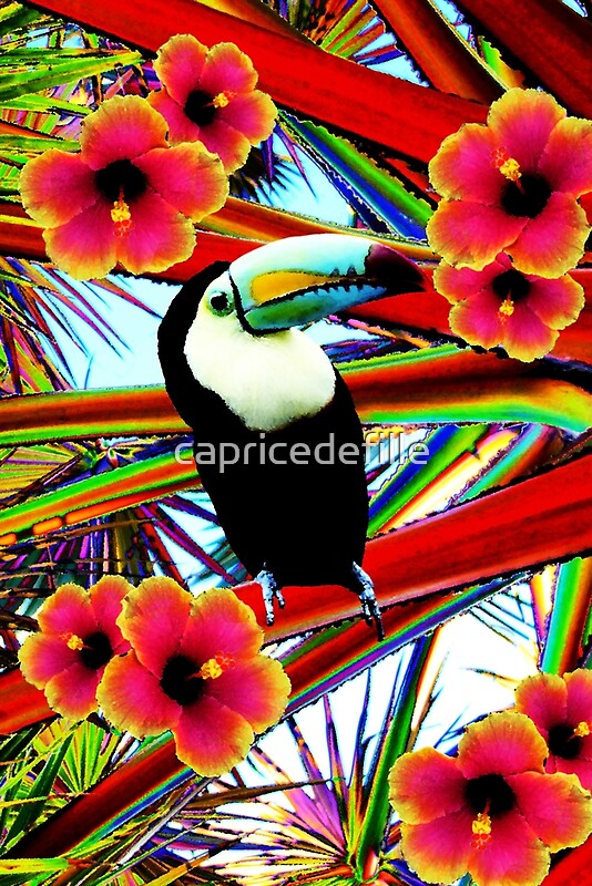"The toucan" by capricedefille | Redbubble