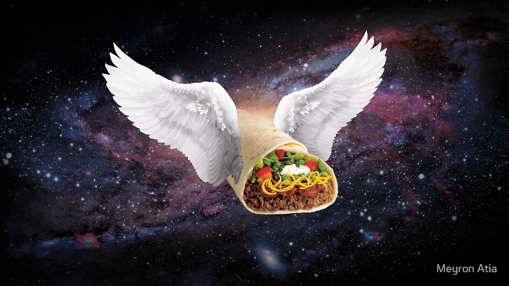 "Flying Space Burrito" by TheTreeMan | Redbubble