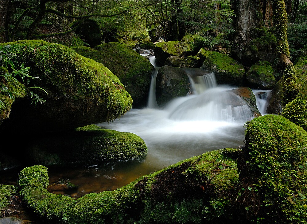 "Mossy Cascades" by Robert Mullner | Redbubble