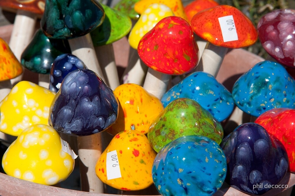 "Mushroom Colors" by phil decocco | Redbubble