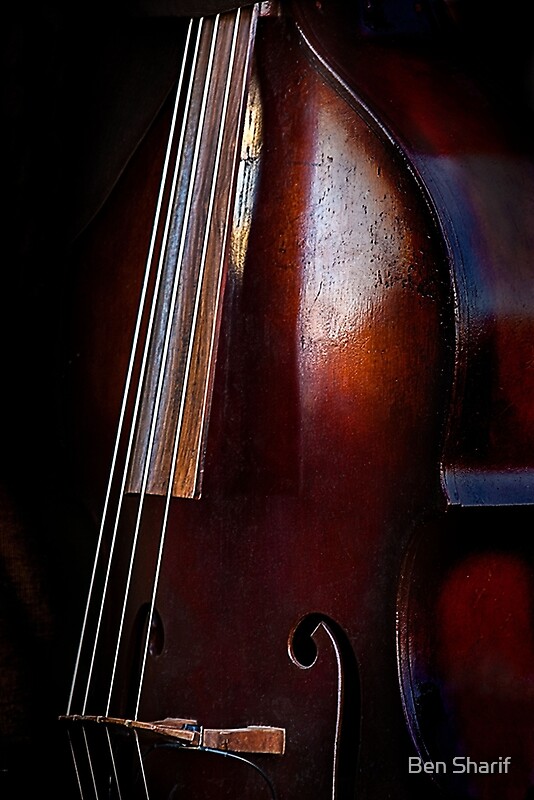 "Fiddle" by Ben Sharif | Redbubble