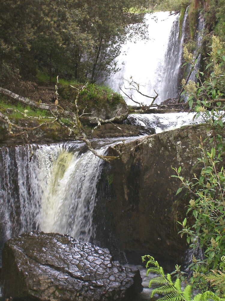 ""crocodile head rock" at Guide Falls, Ridgley, Tasmania" by Gaylene ...
