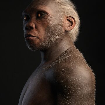 "Homo habilis" Sticker for Sale by Julio Lacerda | Redbubble