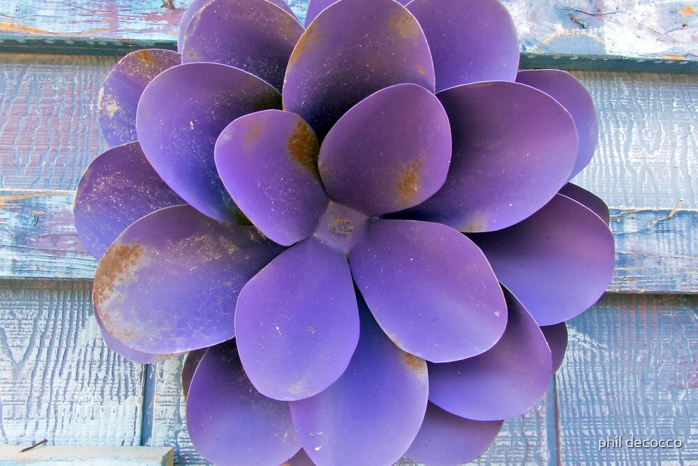 "Metal Petals" by phil decocco | Redbubble