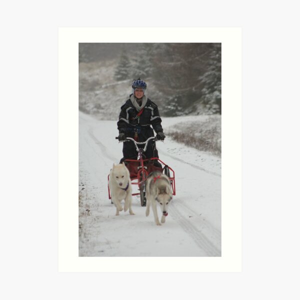 Snow Sled Art Prints | Redbubble