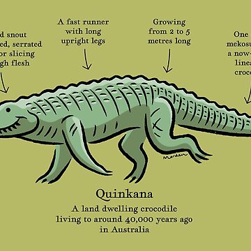 "Quinkana the long legged crocodile of ice-age Australia" Postcard for ...