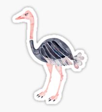 Ostrich: Stickers | Redbubble