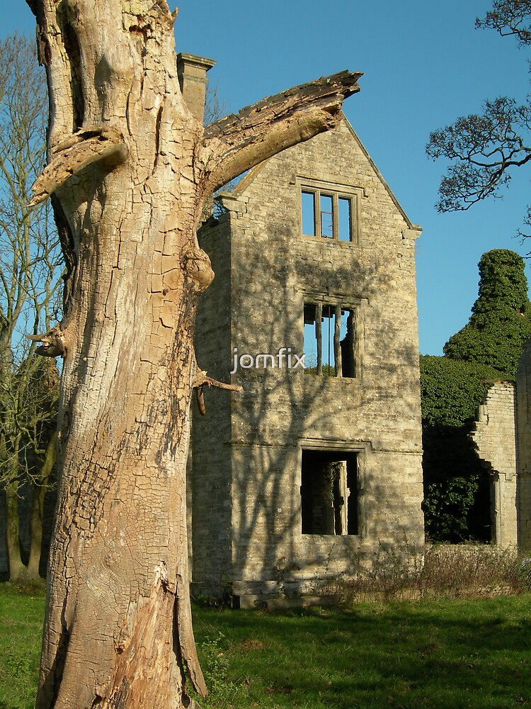 "Dead Tree, Dead House" by jomfix | Redbubble