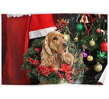 "Merry Cocker Christmas" by aussiebushstick | Redbubble