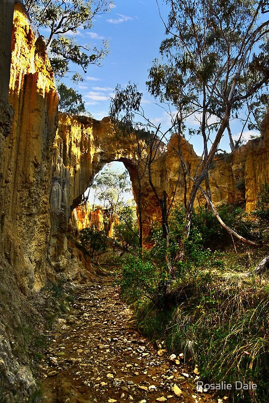 "Golden Gully, Tambaroora - Larger arch" by Rosalie Dale | Redbubble