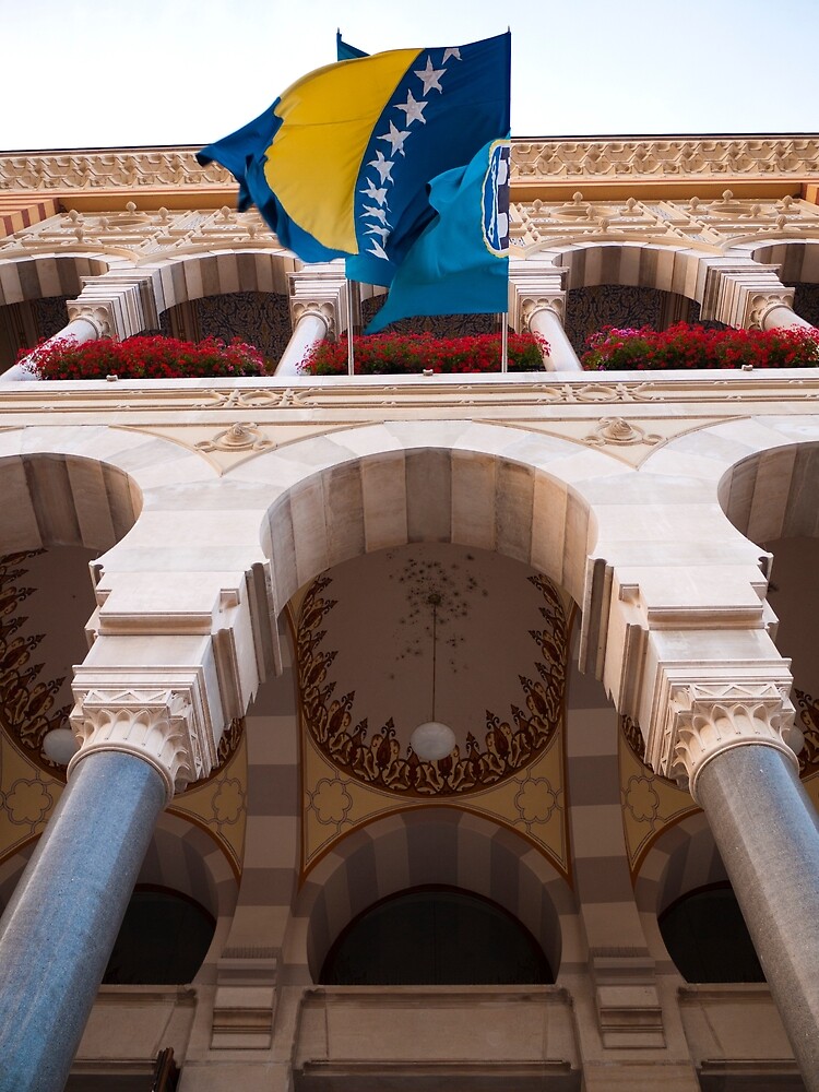 "Library Flag" by Rae Tucker | Redbubble