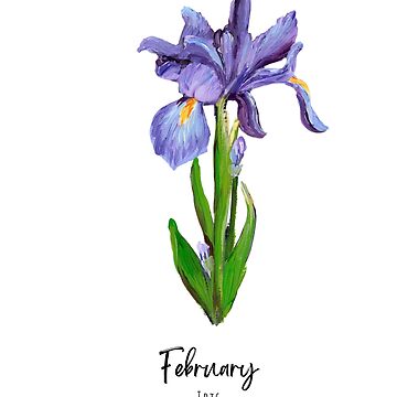" February Birth Flower Iris" Art Print for Sale by Tiffany Roy | Redbubble