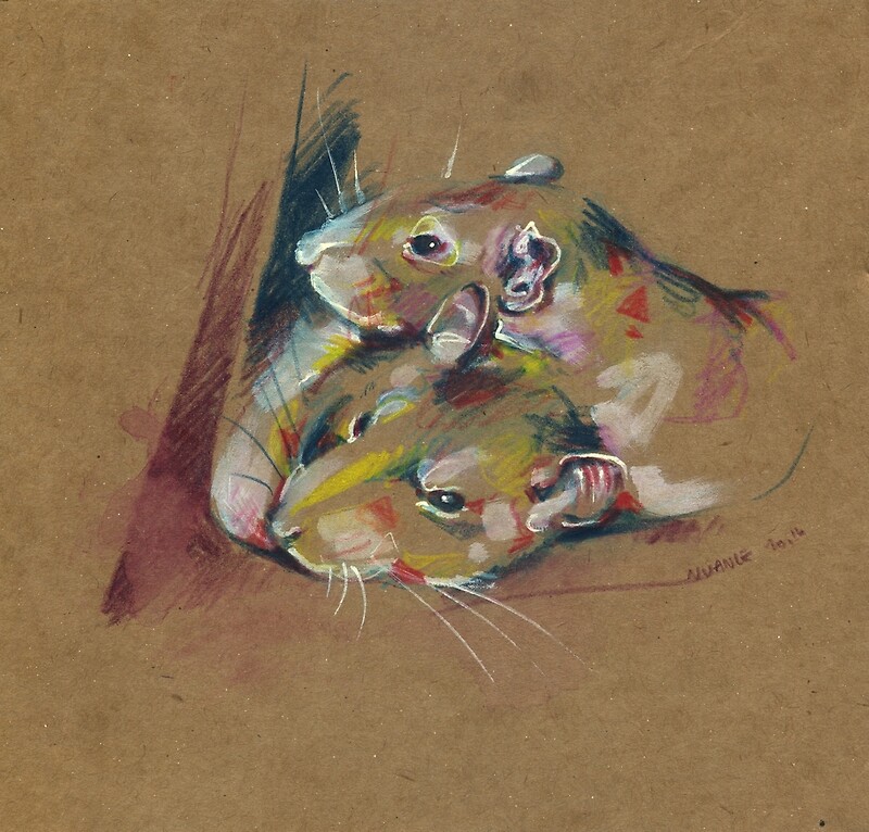 "Rat duo III" by Anaïs Chesnoy | Redbubble