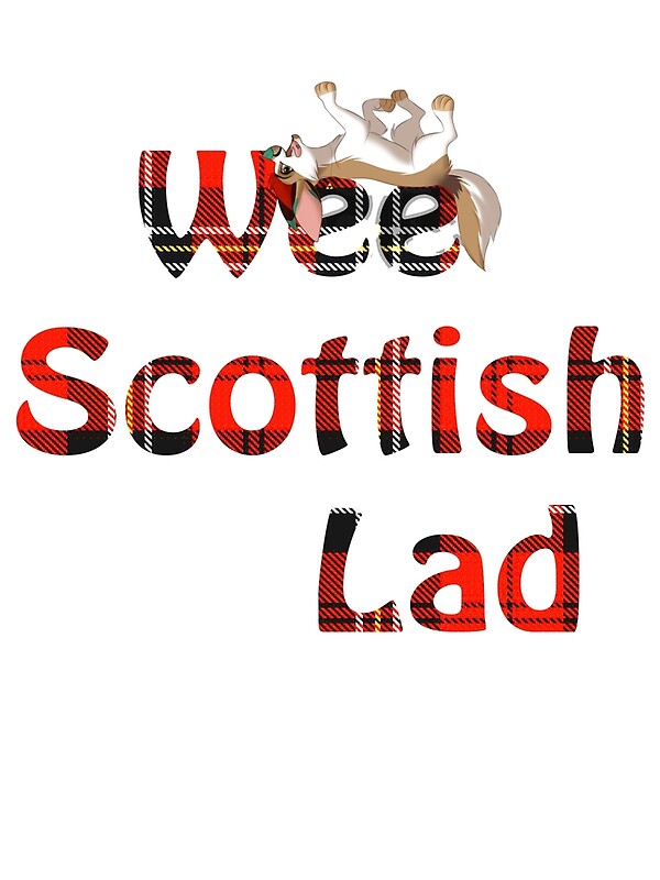 "Wee Scottish Lad " by MoscoMoon | Redbubble