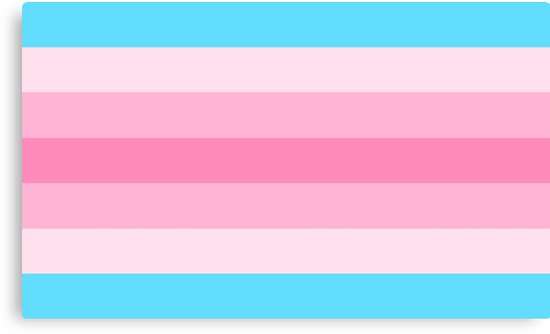 "Trans Woman Pride Flag" Canvas Prints by porcupride | Redbubble