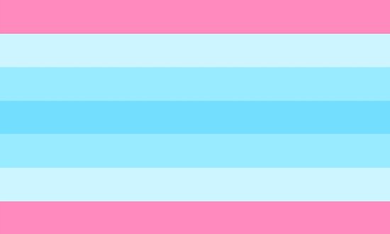 "Trans Man Pride Flag" Photographic Prints by porcupride | Redbubble