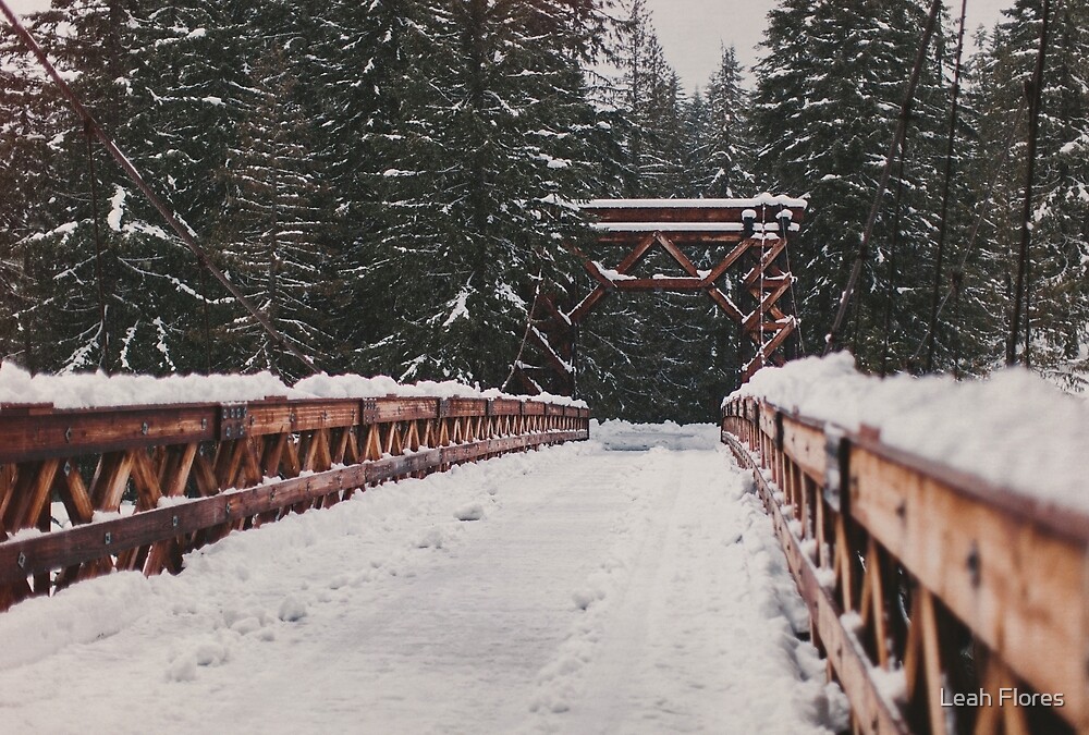 "Nisqually River Suspension Bridge" by Leah Flores | Redbubble